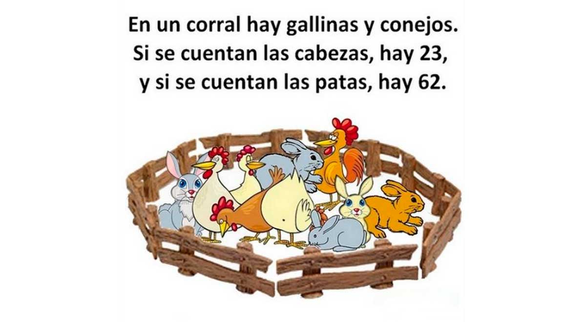 ¿Cuántas gallinas y conejos hay en el corral? El acertijo exclusivo para GENIOS | VIVES.FUTBOL