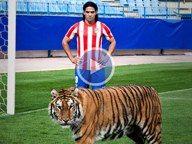[VIDEO] Insólito: Radamel Falcao posa con un tigre en el Vicente Calderón