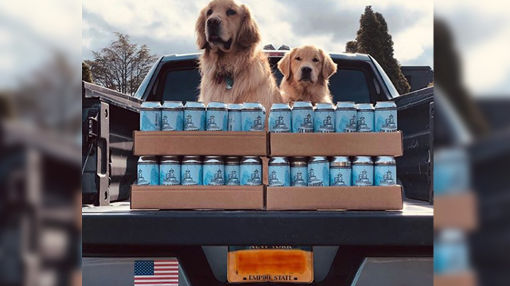 Perritos hacen delivery de trago y son virales en redes sociales [VIDEO]