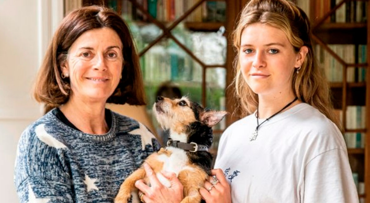 Viral: Perrita protagoniza reencuentro con su familia luego de 11 años ...