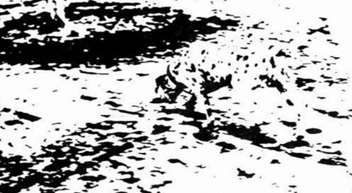 Identifica el dibujo escondido en la imagen para superar este desafío ...