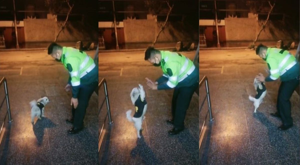 TikTok: policía realiza divertida coreografía con perrito llamado 'Copito'