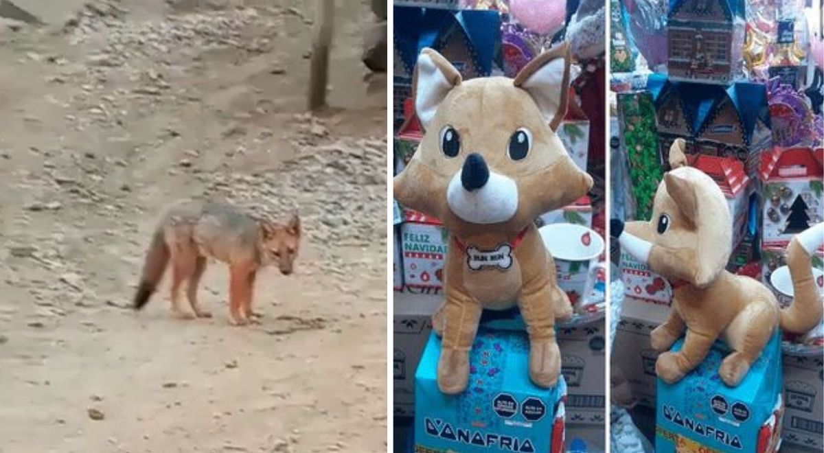 Peluche inspirado en el zorrito Run Run es la sensación en esta Navidad