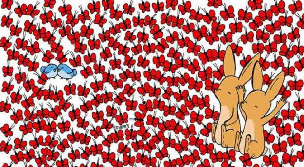 Reto visual de San Valentín: Halla los corazones escondidos en tiempo ...