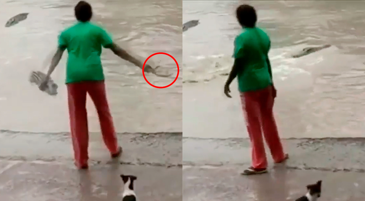 ¡El poder de la chancla! Mujer se vuelve viral por espantar a un cocodrilo con una sandalia