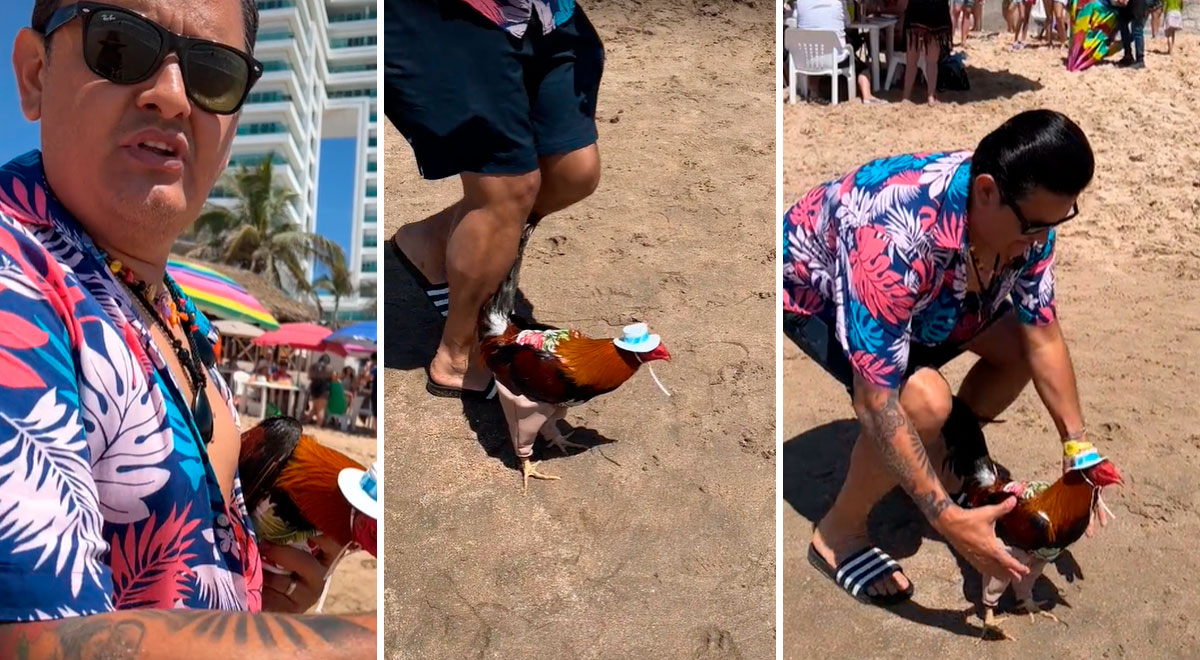 Un hombre y su gallo se volvieron viral al pasar un día de playa: "Él ...