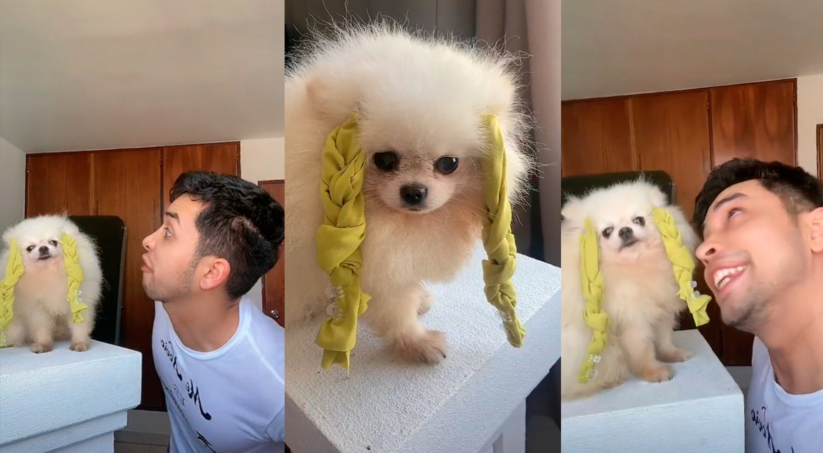 Joven recrea famosa escena de 'Tronchatoro' junto a su perrito y se ...