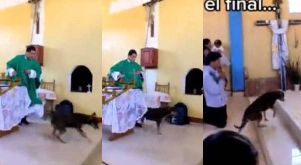 Sacerdote patea a perrito en medio de una misa y genera indignación en ...