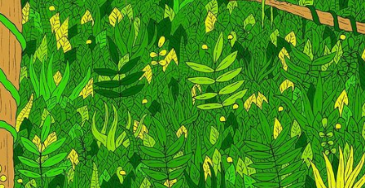 Reto Visual EXTREMO: ¿Puedes ver la serpiente escondida entre la jungla ...