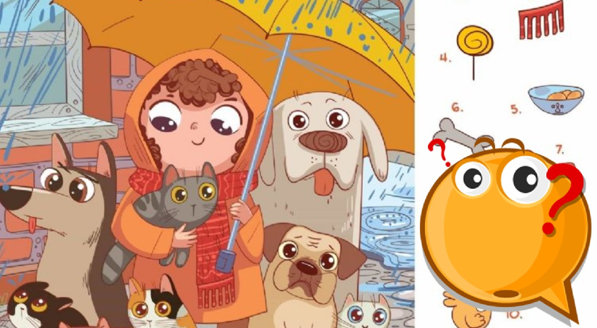 ¿Podrás encontrar los 12 objetos de la imagen? Solo el 2% pudo resolver ...