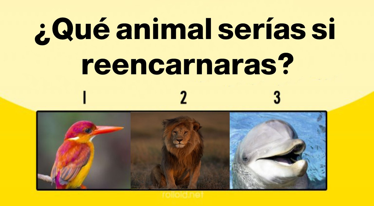 Resuelve este test de personalidad y conoce qué animal serías si ...