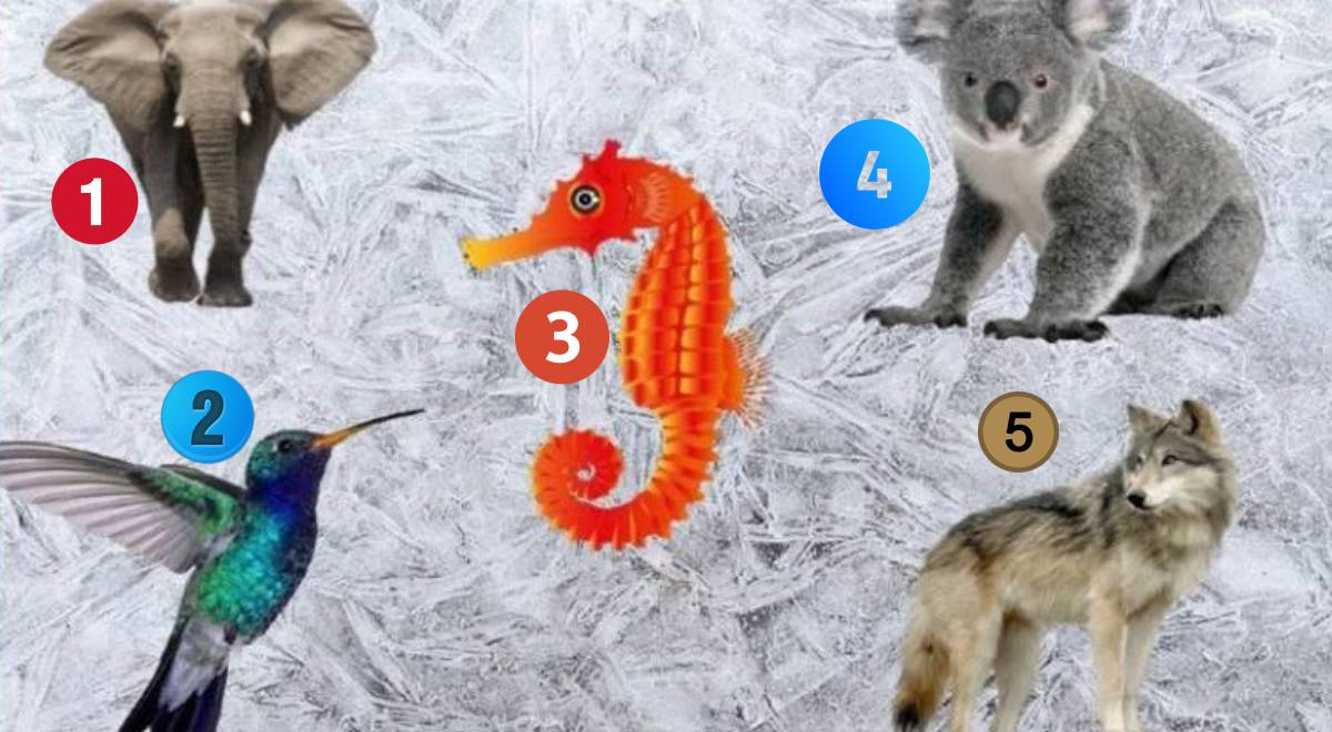 ¿Qué te hace falta para que seas feliz? Escoge un animal y descúbrelo ...