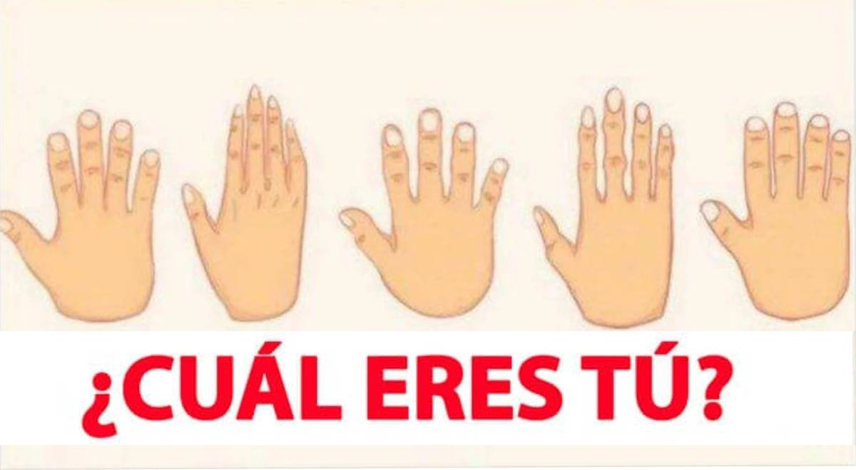 ¿Cómo es tu tipo de mano? Identifícate y conoce si posees un carácter ...