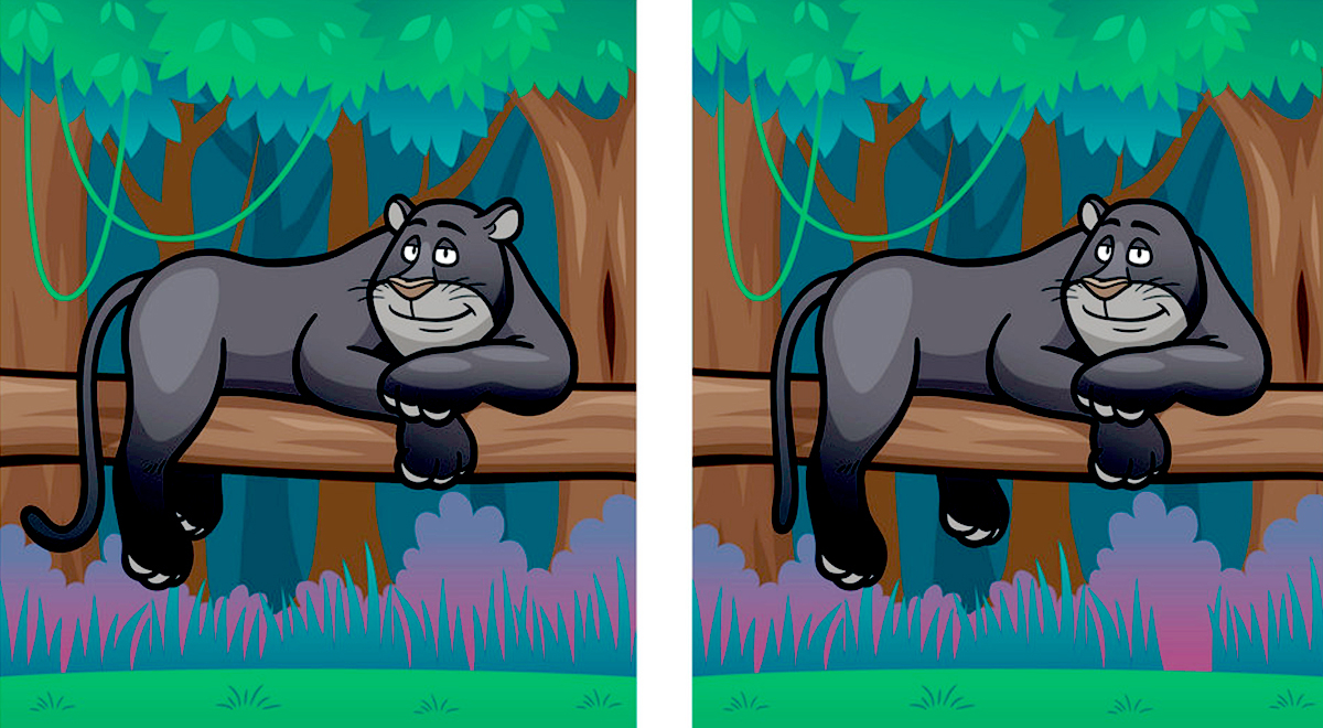 Pon a prueba toda tu genialidad y logra encontrar las 5 diferencias del ...