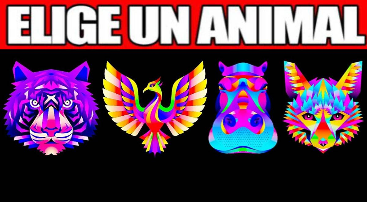 ¿Eres una persona decidida y radical? El animal que más seguridad te ...
