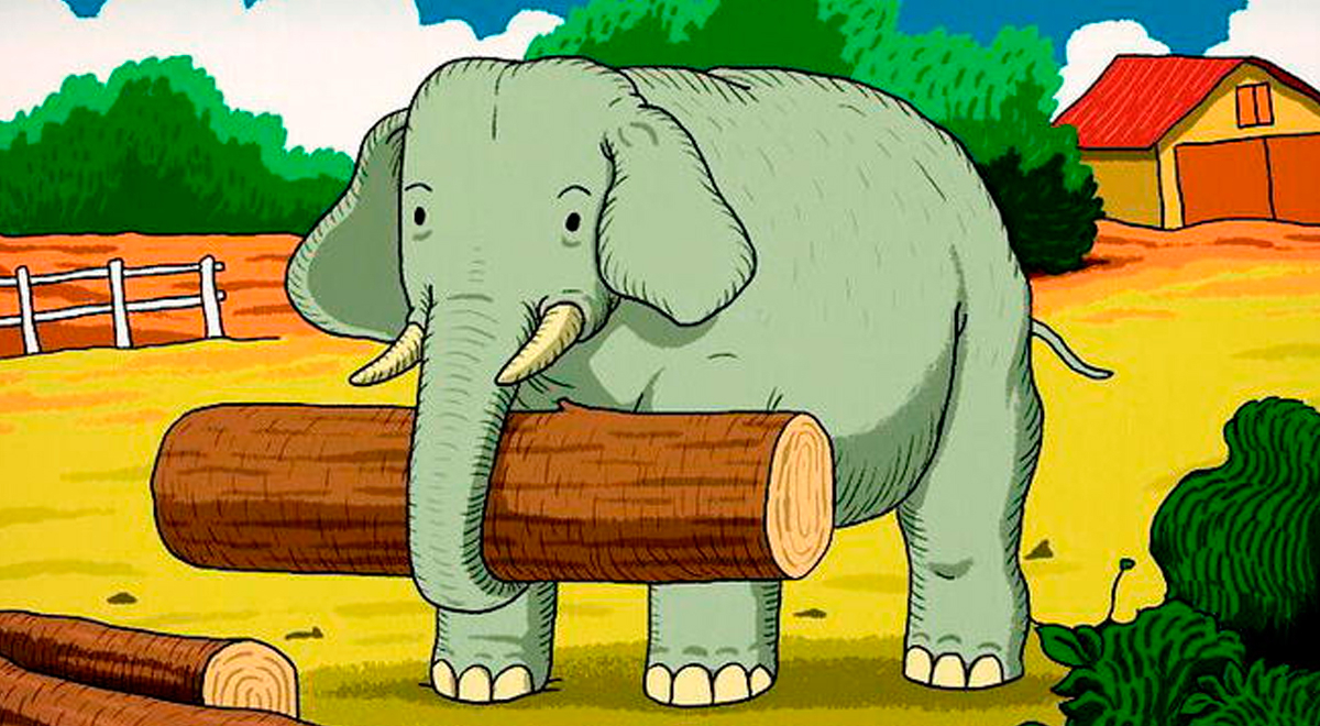 ¿Logras ver al animal oculto? Tienes 5 segundos para superar este reto ...