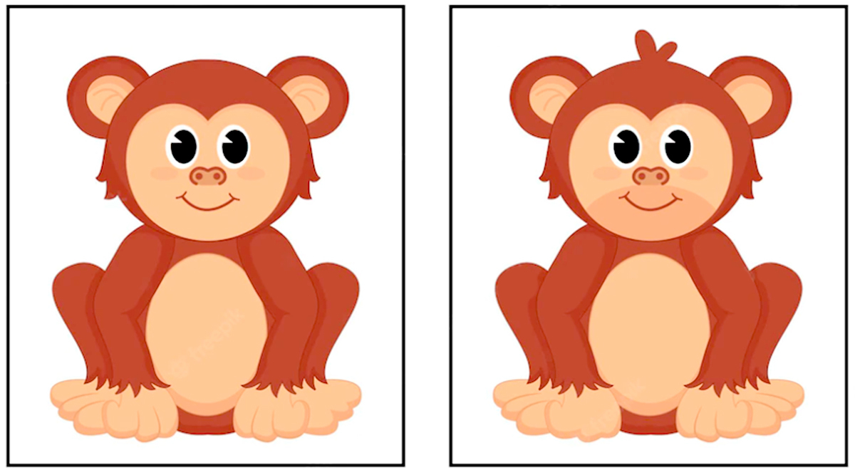 ¿Encontrarás las 5 diferencias entre los monitos? Resuelve este reto ...
