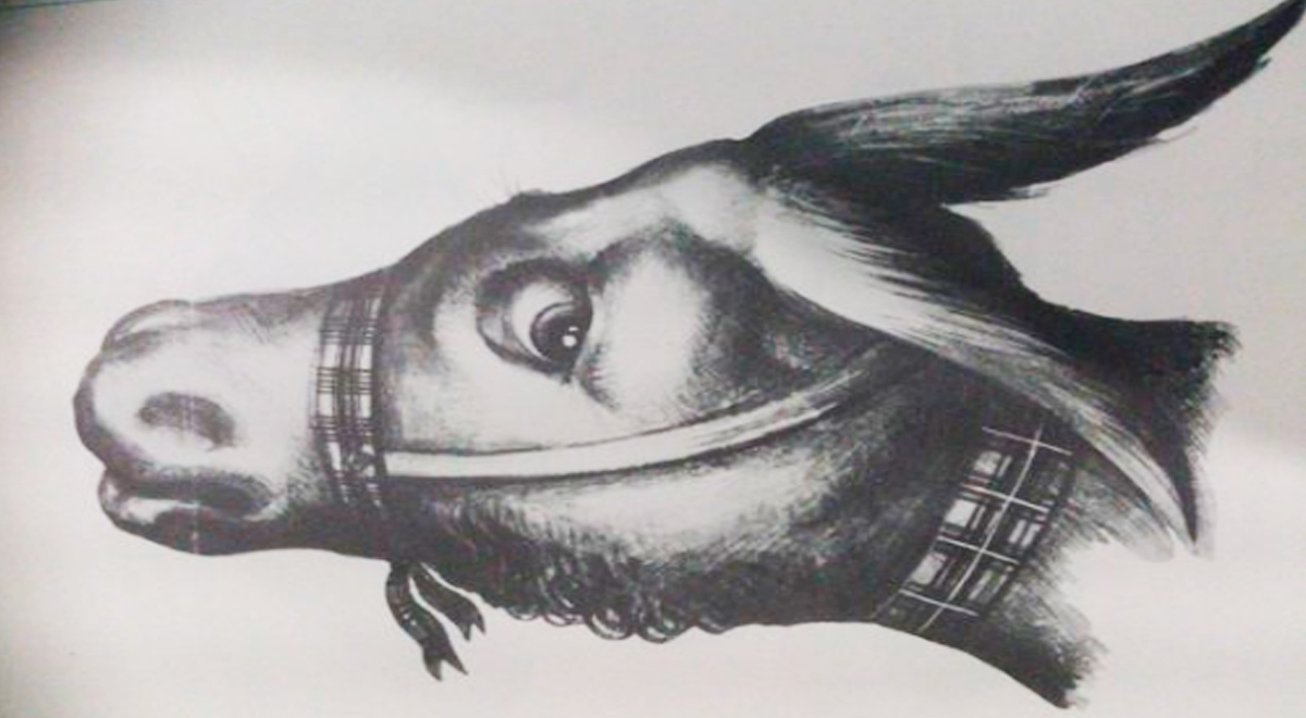 ¿Resolverás este reto para GENIOS? Encuentra al dueño del BURRO en solo ...