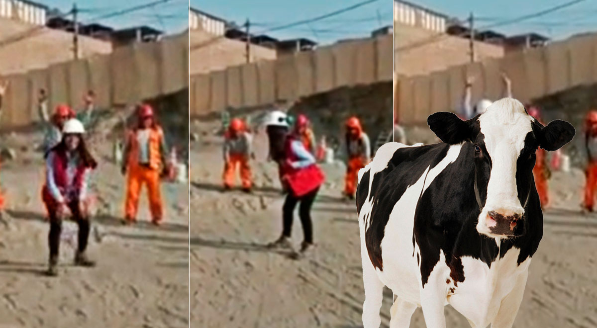 Ingeniera usa curiosa dinámica 'de la vaca' y desestreza a todo el ...