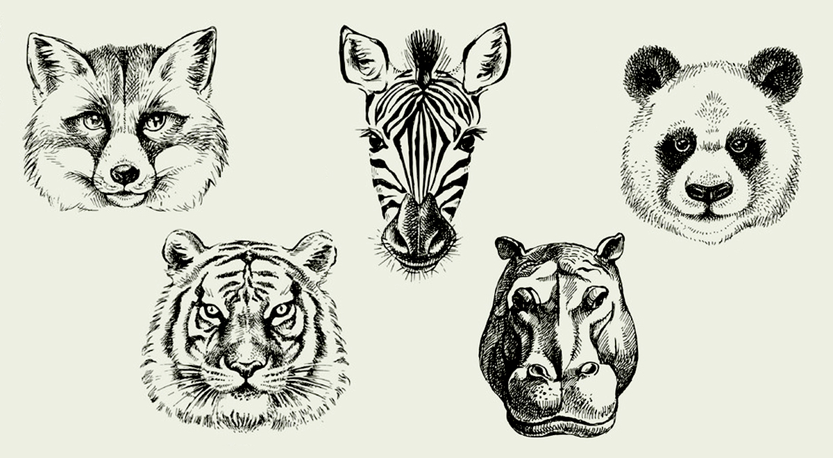 ¿Con qué animal te identificas? Tu elección dirá si eres imponente o ...