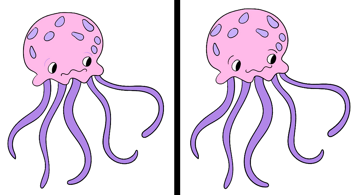 ¿Podrás encontrar las 3 diferencias entre los pulpos? Solo un experto ...