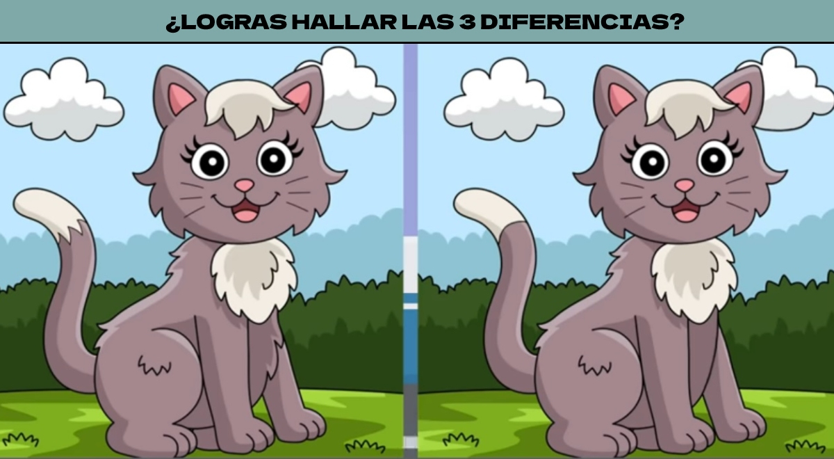 Reto visual para mentes BRILLANTES: encuentra las 3 diferencias en solo ...