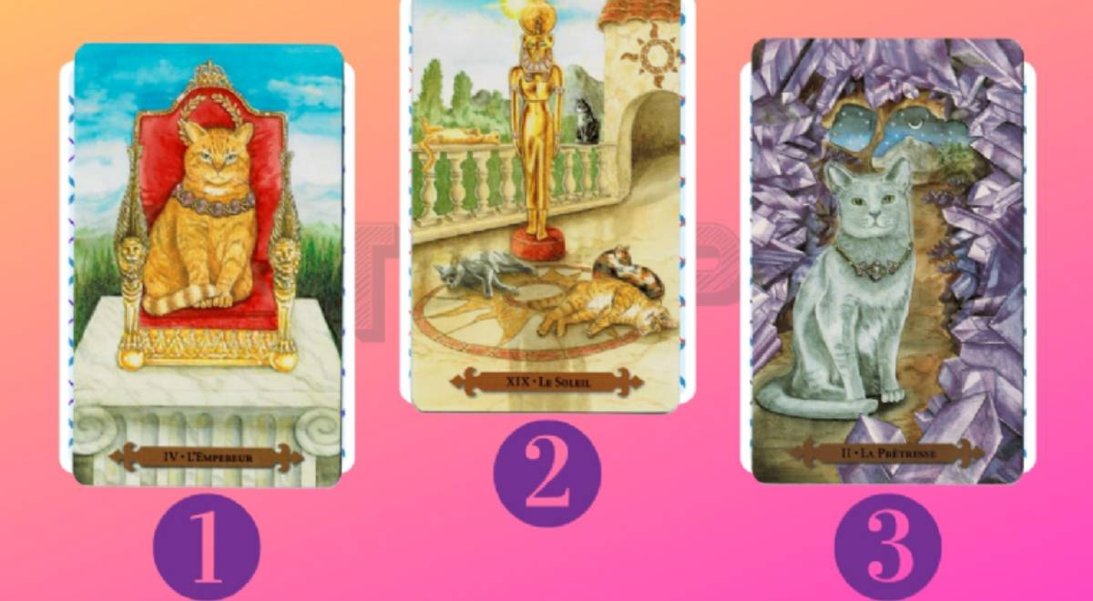 ¿Tienes una personalidad independiente? Averígualo con la carta que ...