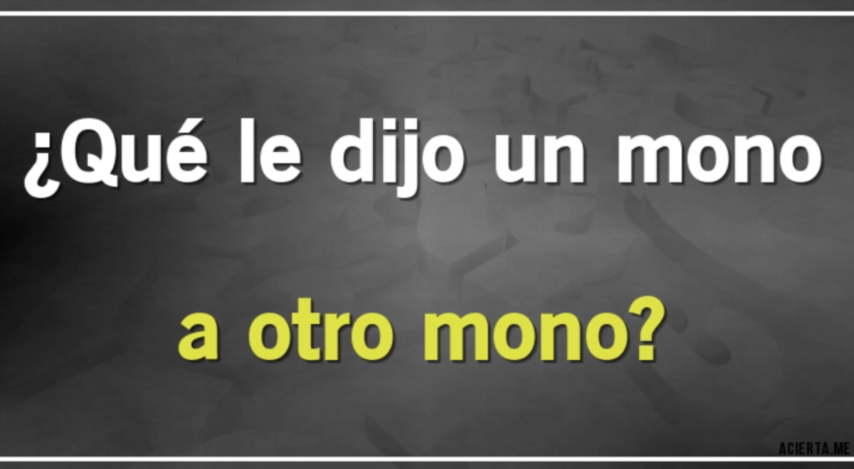 ¿Qué le dijo un mono a otro mono? Solo personas de MENTE ÁGIL hallan la ...