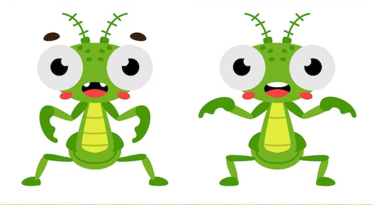Identifica las 5 diferencias del insecto en este reto para mentes ...