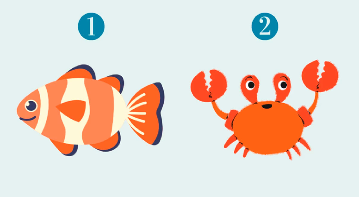 ¿Estás rodeado de personas sinceras? Escoge el animal que más te guste ...