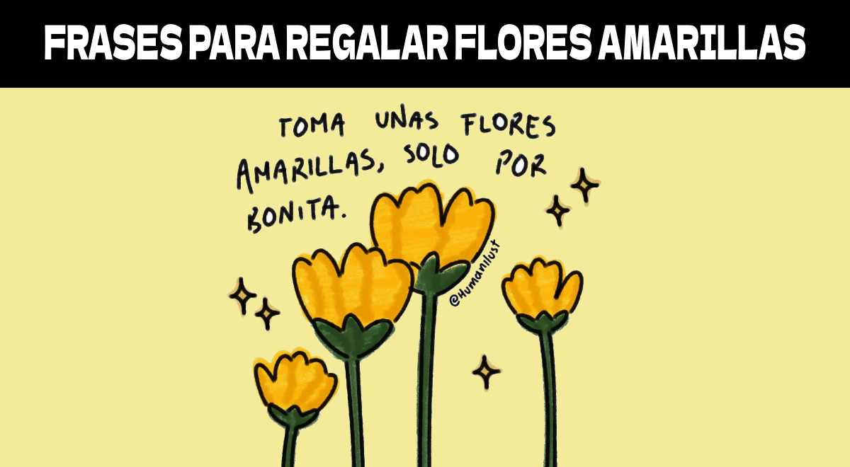 Hermosas Flores Con Frases Romanticas